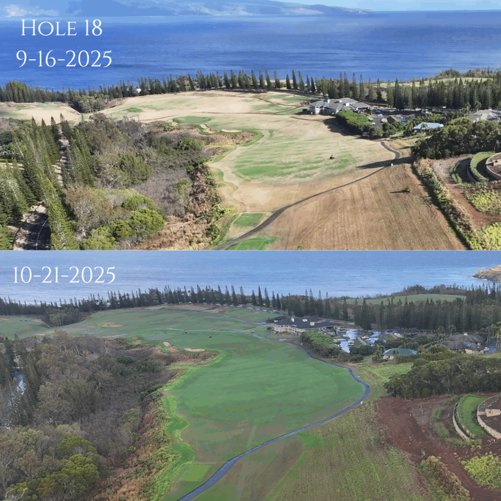 Kapalua’s Plantation Course to reopen Nov. 10 | News, Sports, Jobs ...